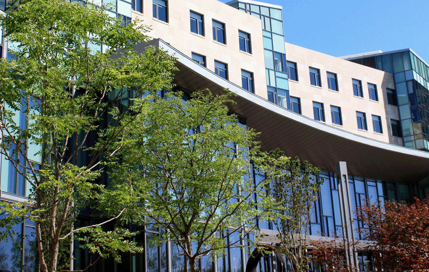 Business schools: an evolutionary perspective - World Commerce Review